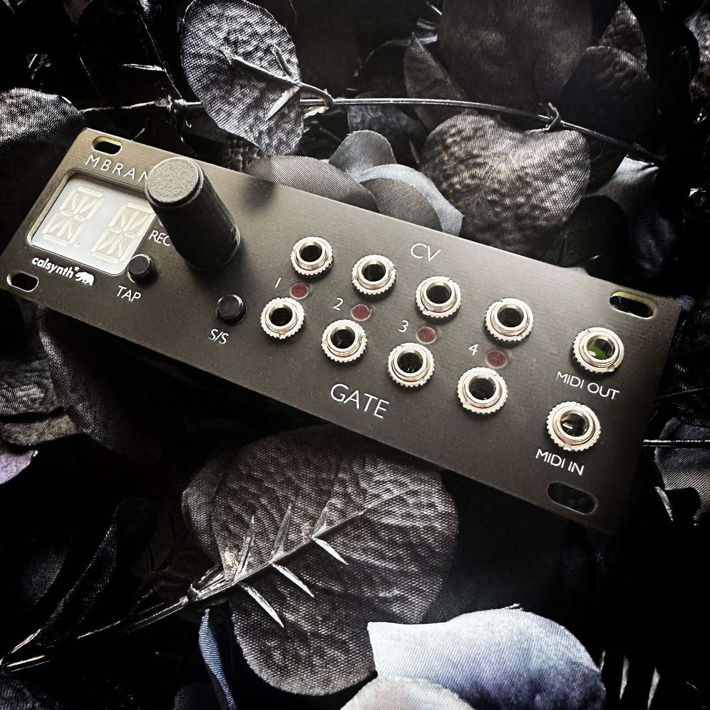 MBRANE 1U YARNS - MIDI TO CV INTERFACE – Calsynth